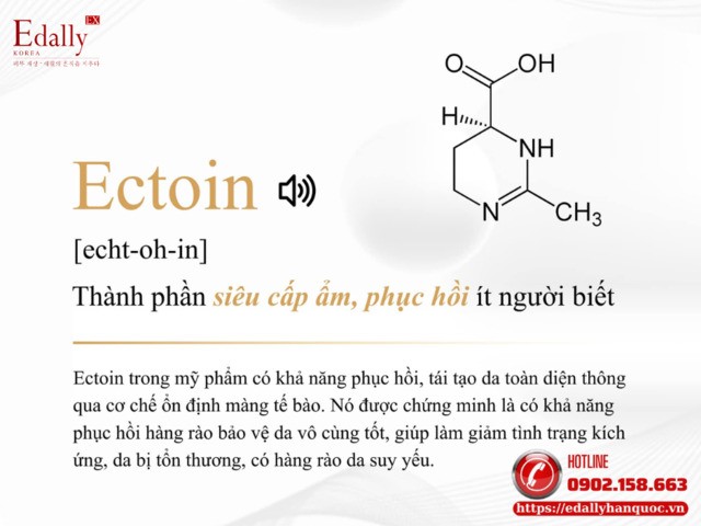 Ectoin Trong Mỹ Phẩm - Thành Phần Siêu Cấp Ẩm, Phục Hồi Ít Người Biết