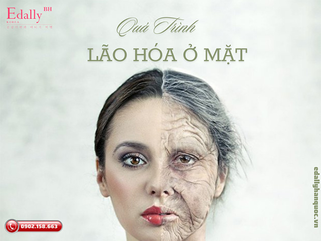 Quá Trình Lão Hóa Ở Mặt Và Cách Cải Thiện Lão Hóa Ở Mặt Hiệu Quả Nhất